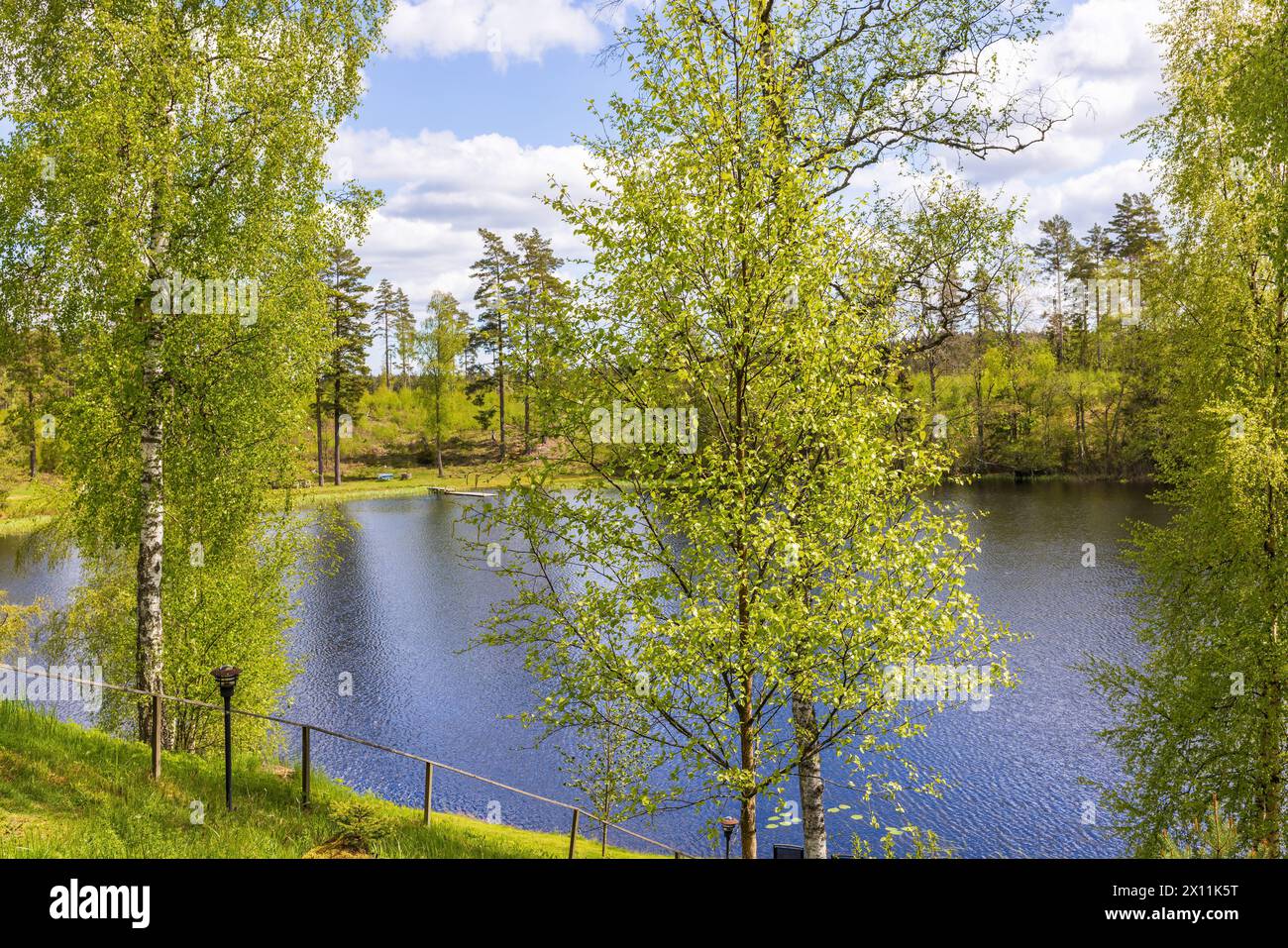 Birch tree lakeshore hi-res stock photography and images - Alamy