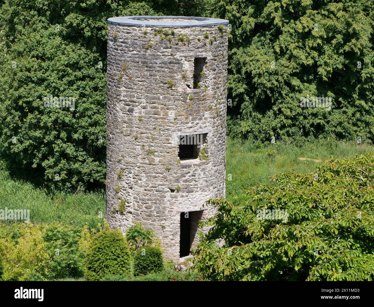 Old celtic castle tower among the trees, Blarney castle in Ireland, old ...