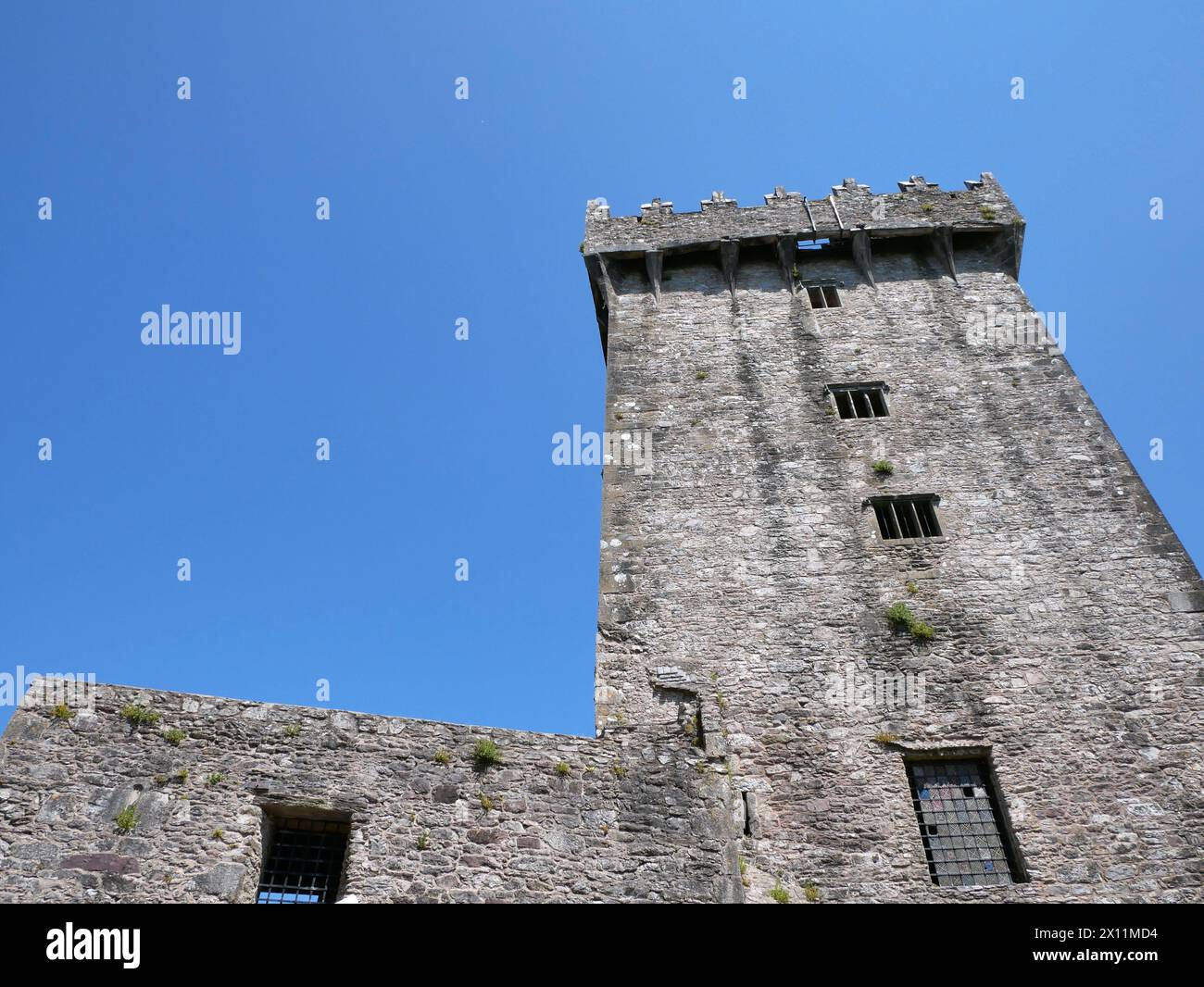 Old celtic castle tower, Blarney castle in Ireland, old ancient celtic ...