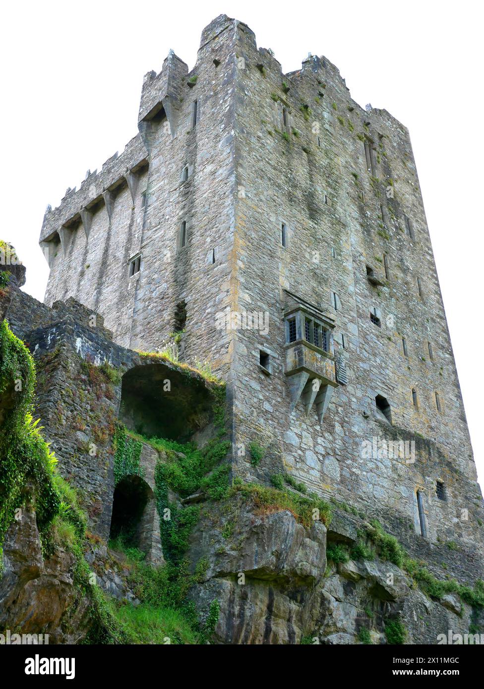 Old celtic castle tower isolated over white background, Blarney castle ...