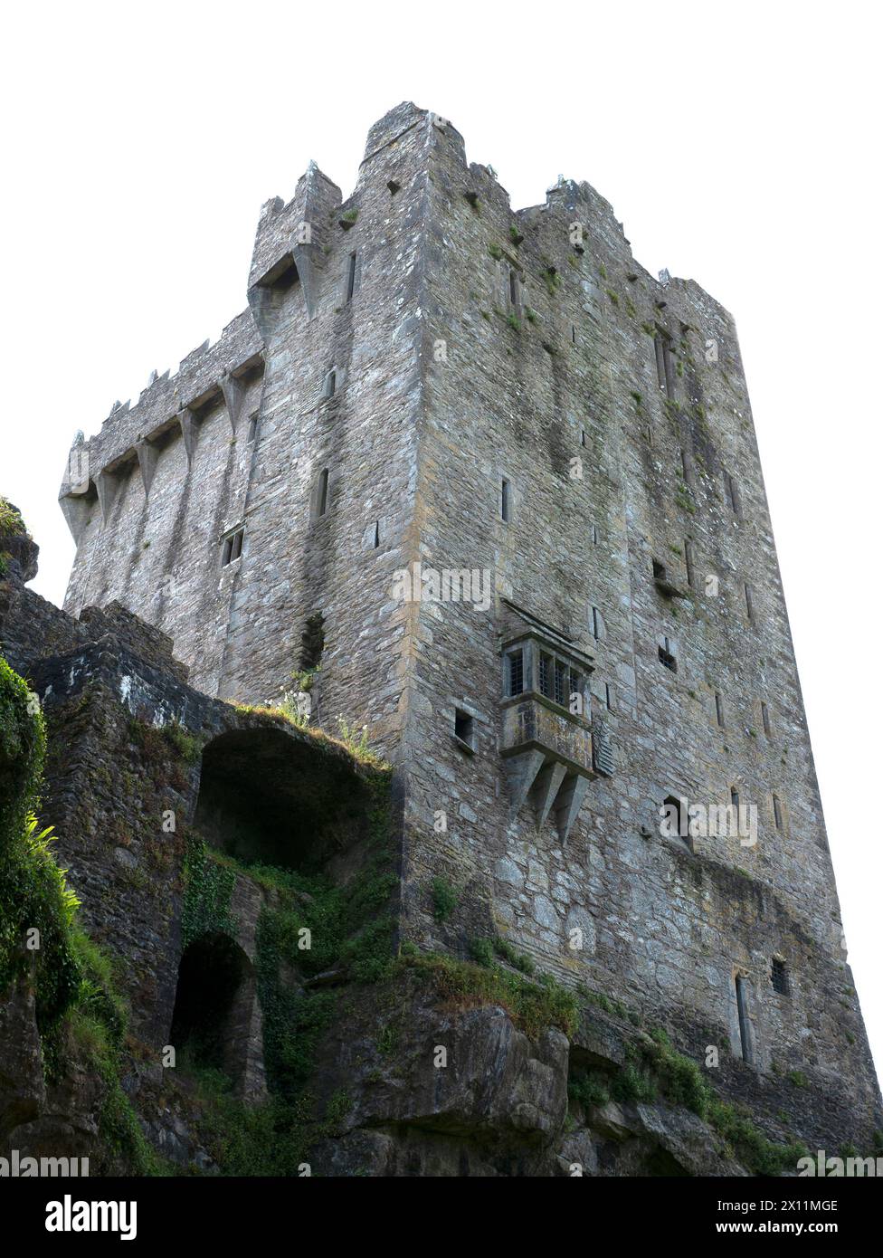 Old celtic castle tower isolated over white background, Blarney castle ...