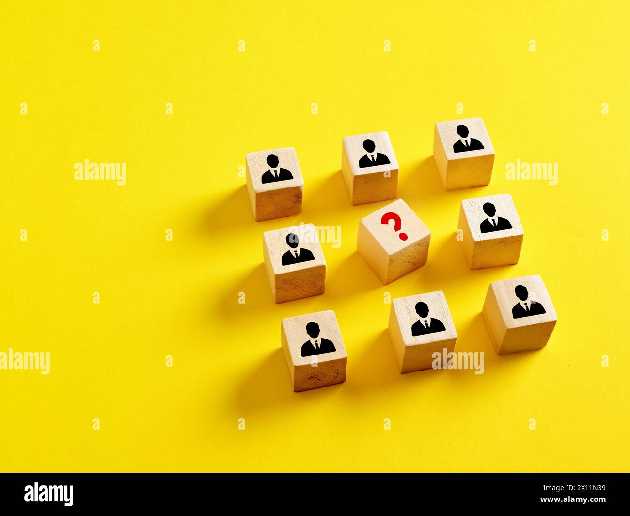 Team building, staffing, establishing a team leader, filling a vacant ...