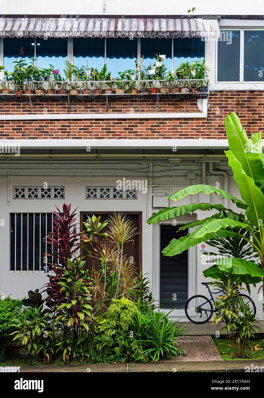 Architectural plants hi-res stock photography and images - Alamy