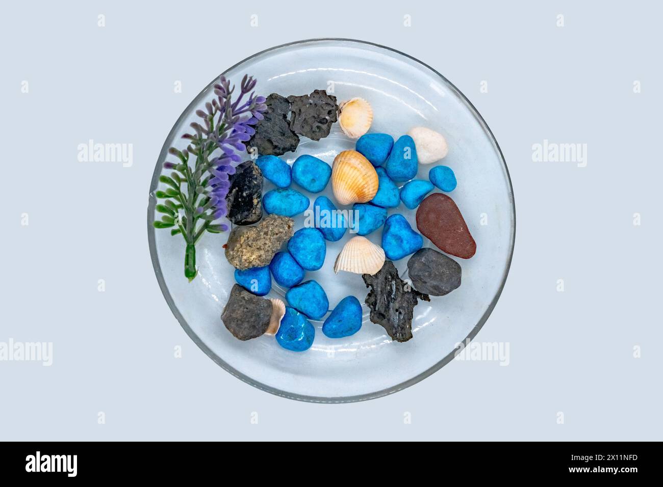 a glass plate bowl of blue and purple rocks and blue flowers Stock ...
