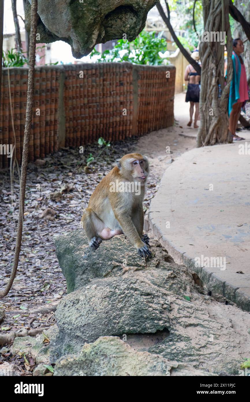 Railey beach thailand hi-res stock photography and images - Alamy