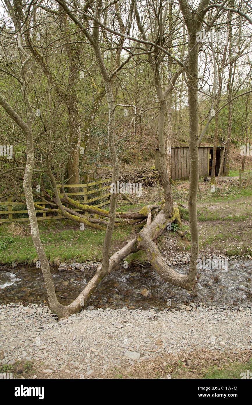 Carding Mil Valley countryside Stock Photo - Alamy