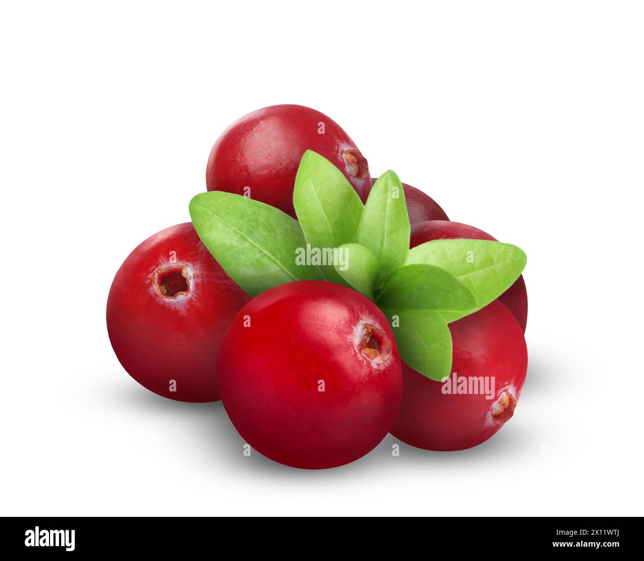 Fresh ripe cranberries with leaves isolated on white Stock Photo - Alamy