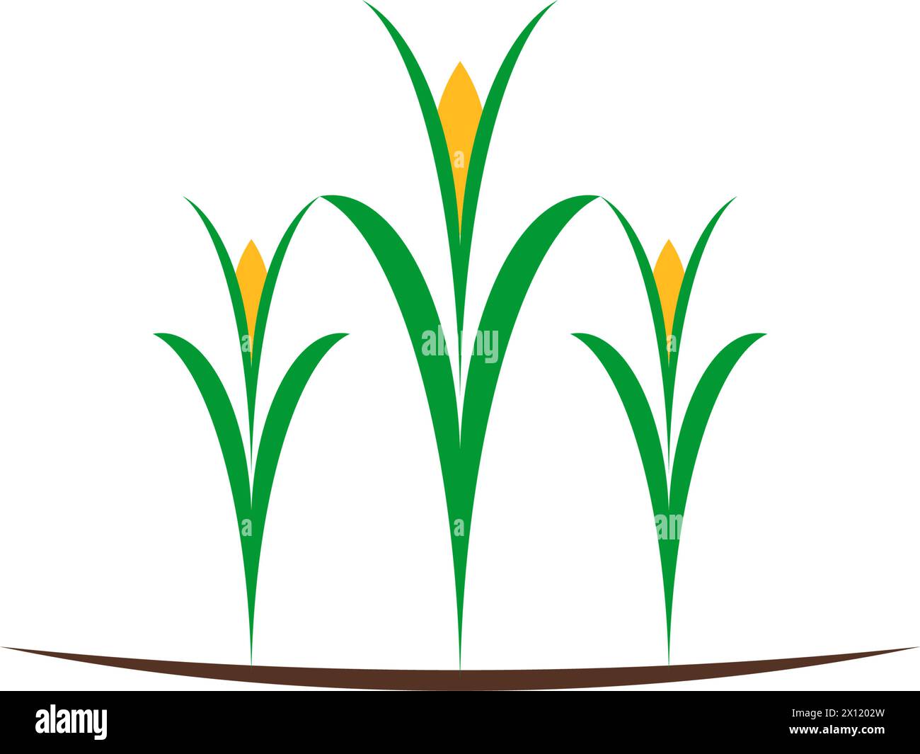 Farmer with corn seed Stock Vector Images - Alamy