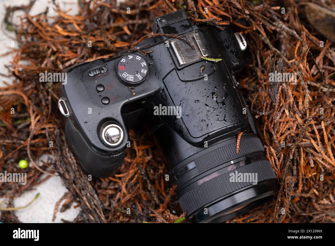 6 mp hi-res stock photography and images - Alamy