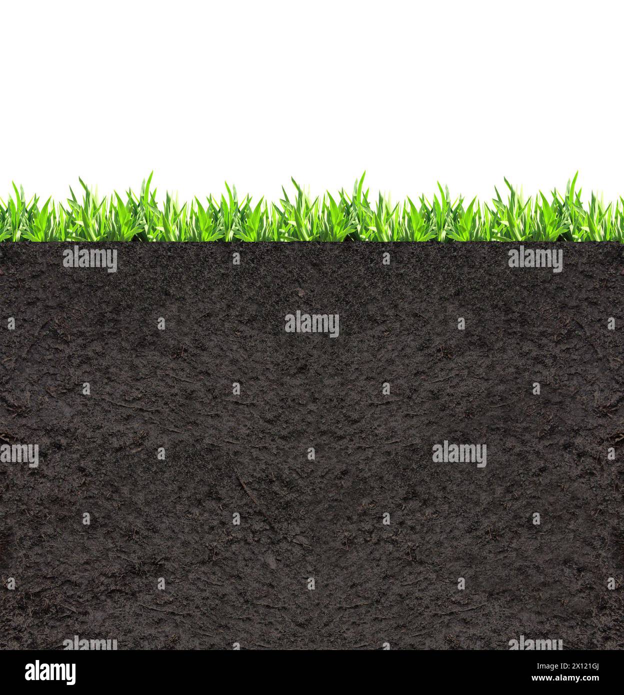 Ground visuals hi-res stock photography and images - Alamy