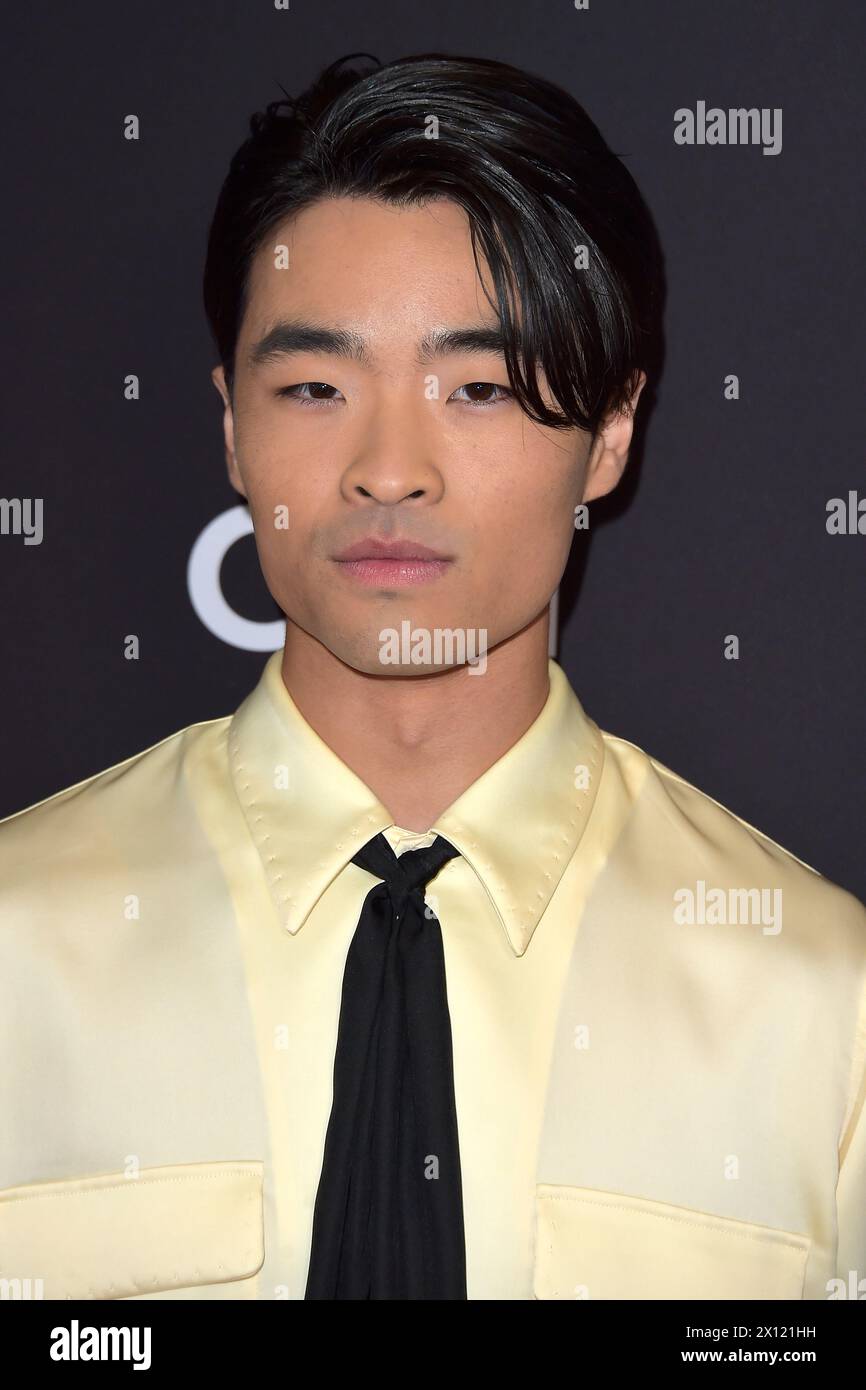 Dallas James Liu beim Screening der Netflix-Serie 'Avatar: The Last ...