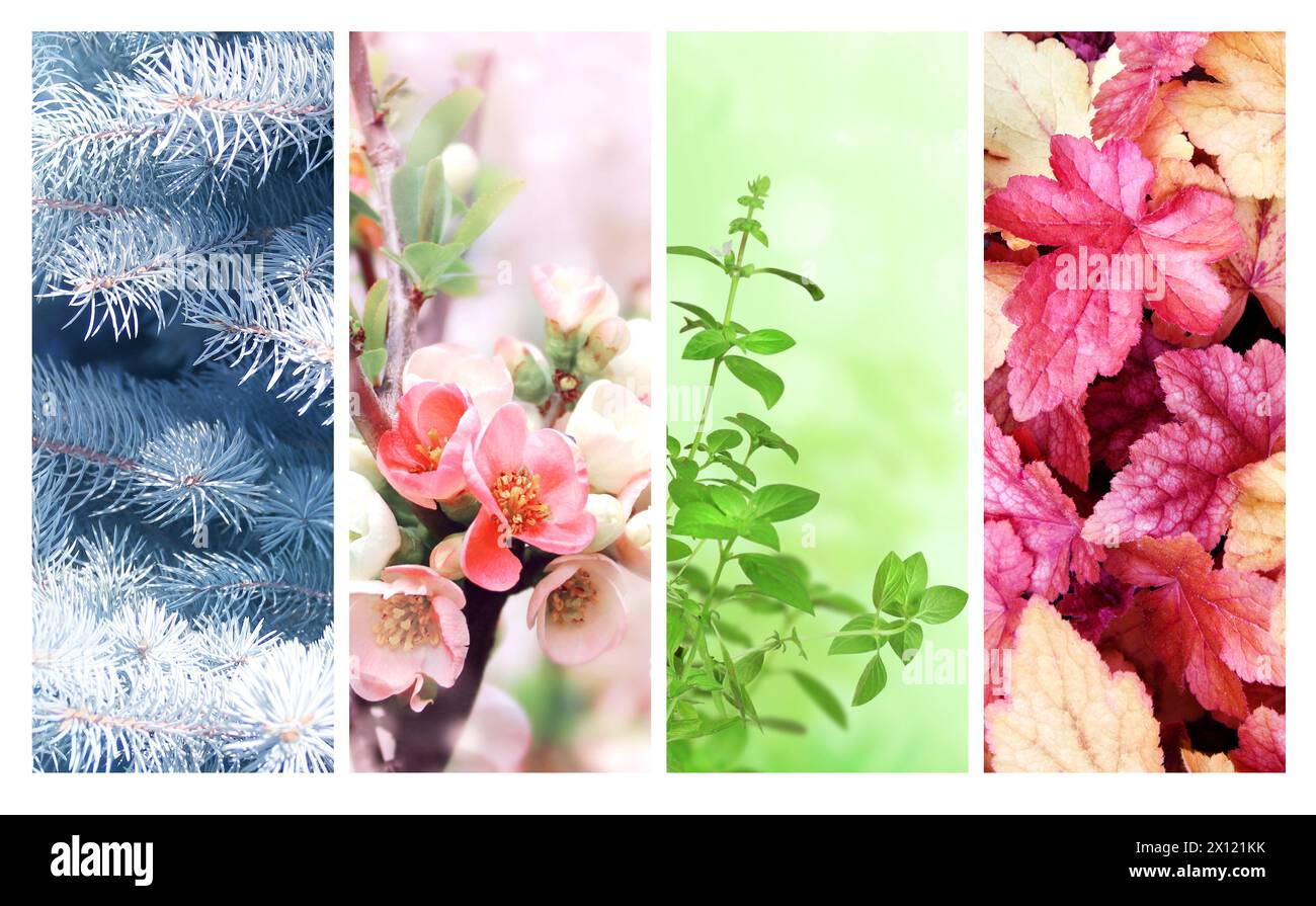 Four seasons of year. Set of vertical nature banners with winter ...