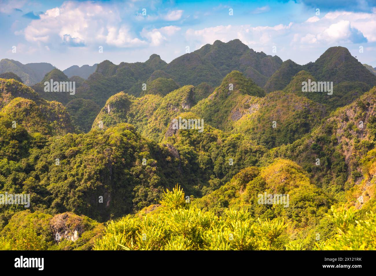 Cat Ba island in Vietnam. Green mountains with tropical rainforest ...