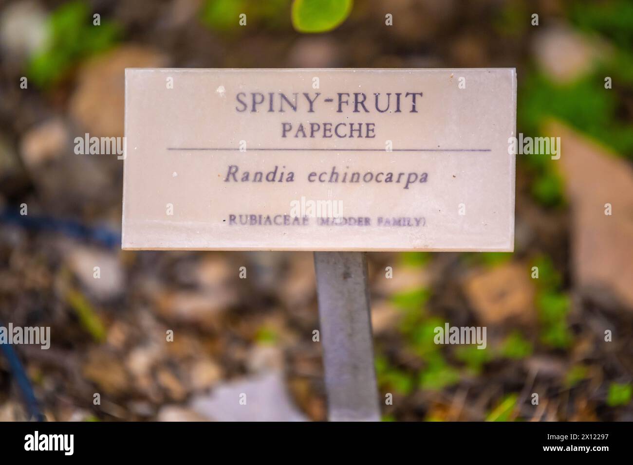 Sonora Desert, AZ, USA - Jan 14, 2023: Spiny Fruit Papeche signage post ...