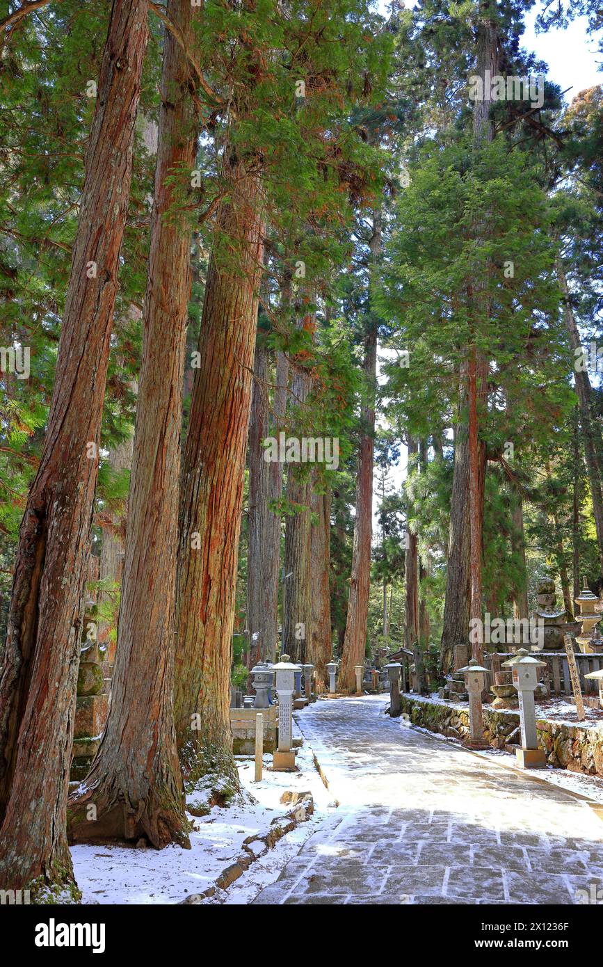 Kongobu-ji Okuno-in Okunoin Cemetery at Koyasan, Koya, Ito District ...