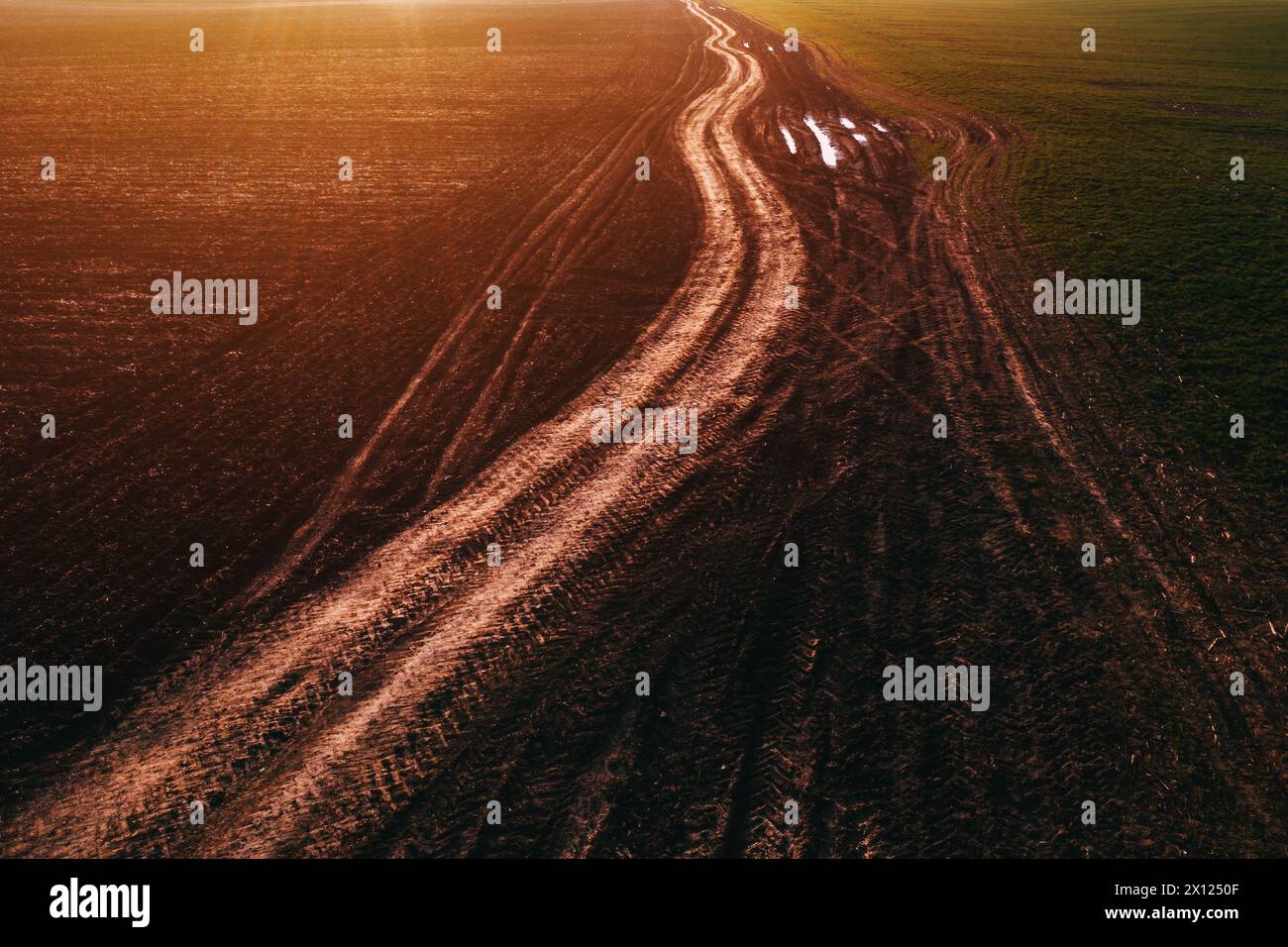 Dirt road with tractor tire track pattern in diminishing perspective ...