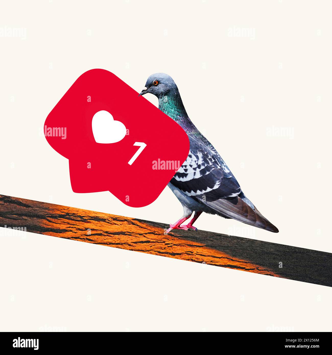 Poster. Contemporary art collage. Bird, pigeon sitting on tree branch ...