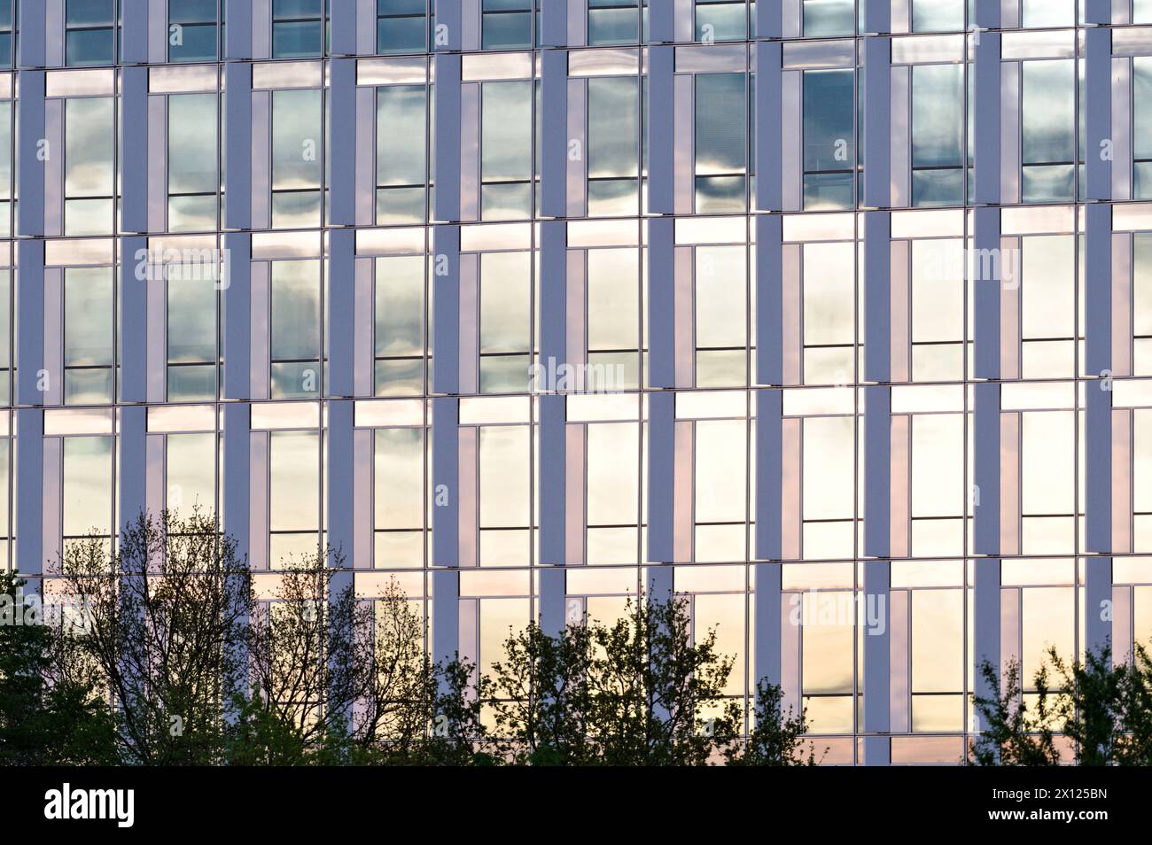 Detail of commercial skyscraper modern building in metropolis. Business ...