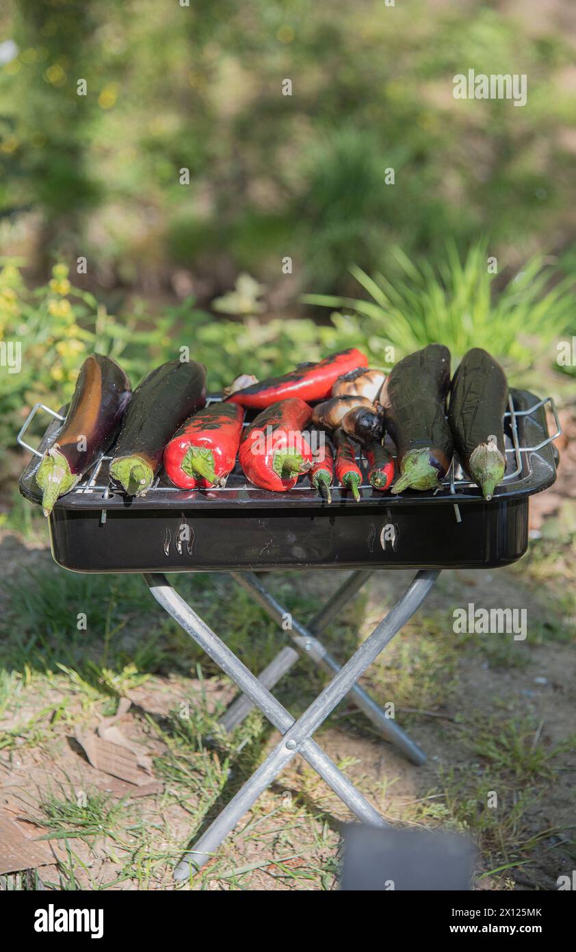 Smoking black mangal barbeque (mangal) with fresh vegetables. garlic ...