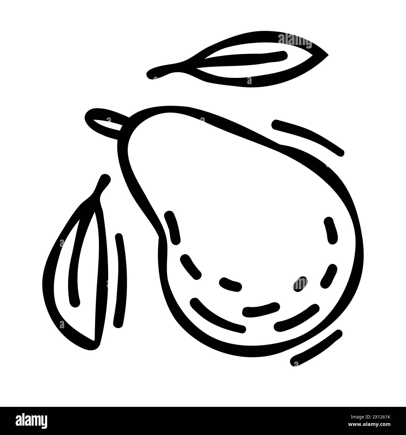 Doodle drawing of pear isolated on white background, drawn by pen ...