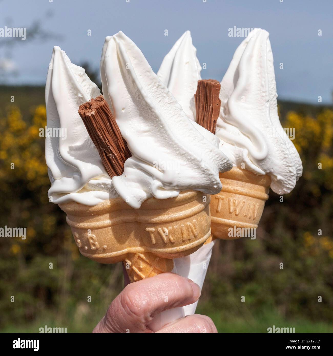 Double cornets hi-res stock photography and images - Alamy