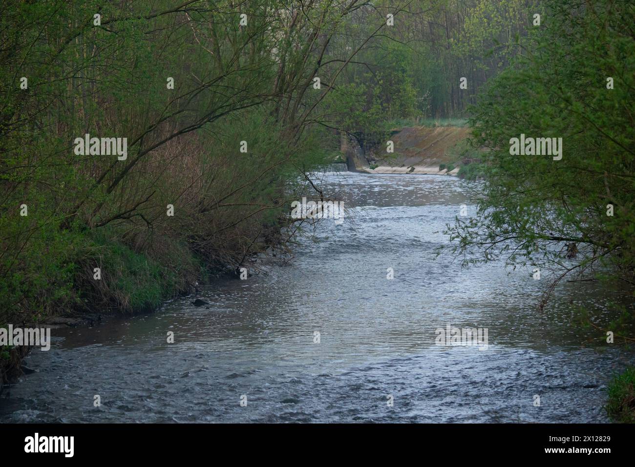 river landscape, stick in the water Stock Photo - Alamy