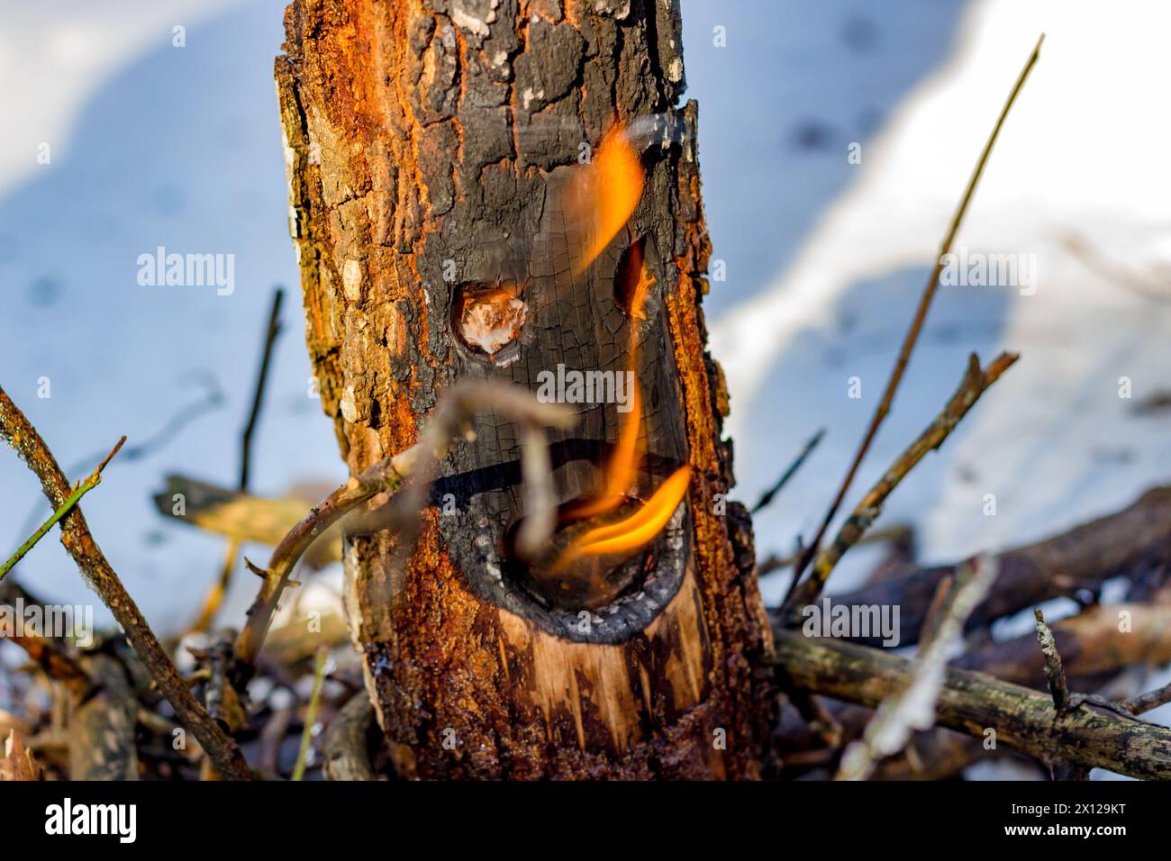 A log with eyes and mouth in the fire, a bonfire in the open air Stock ...