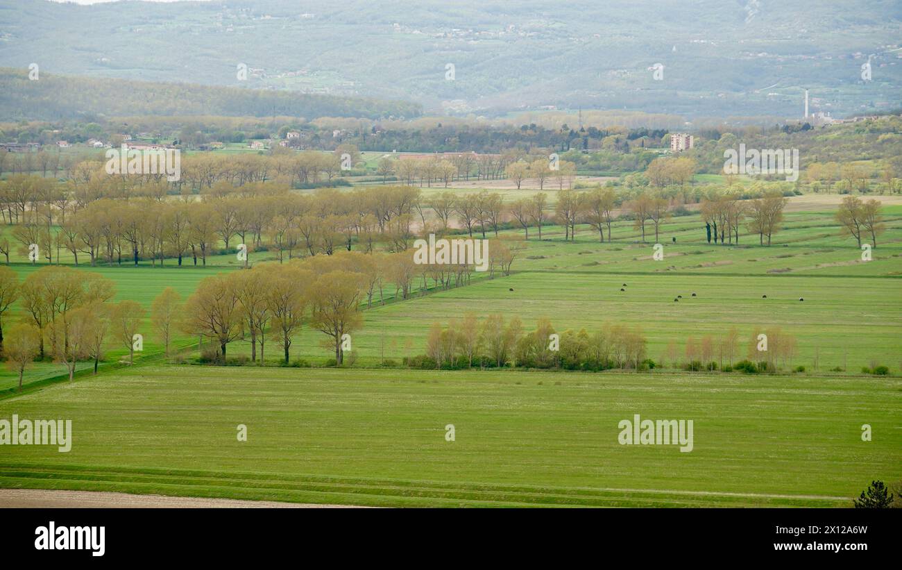 beautiful panoramic view of the greenery of Chepichko Field, Istria ...