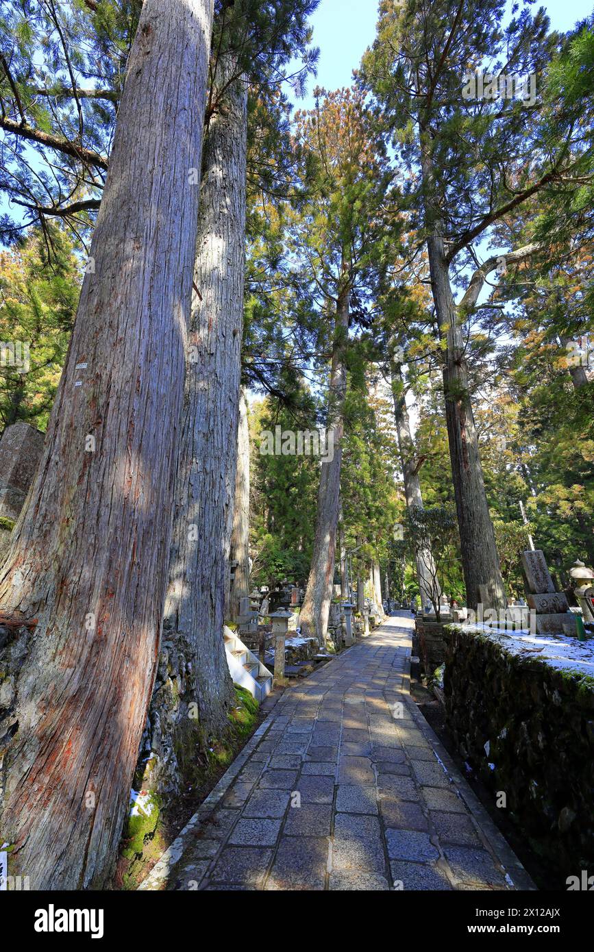 Kongobu-ji Okuno-in Okunoin Cemetery at Koyasan, Koya, Ito District ...