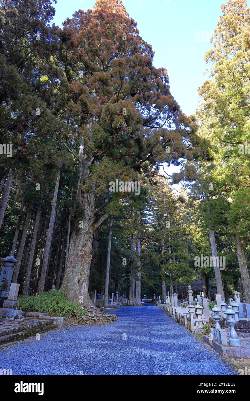Kongobu-ji Okuno-in Okunoin Cemetery at Koyasan, Koya, Ito District ...