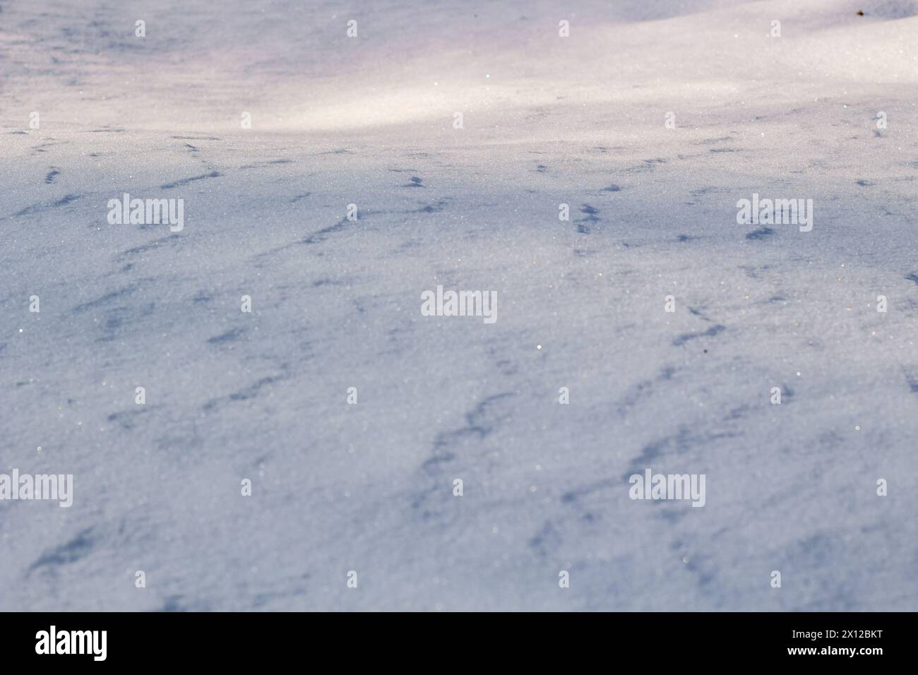 White background with snow ripples on snow in winter, texture Stock ...