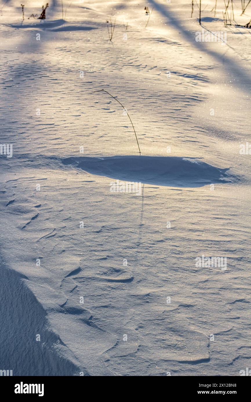 White background with snow ripples on snow in winter, texture Stock ...