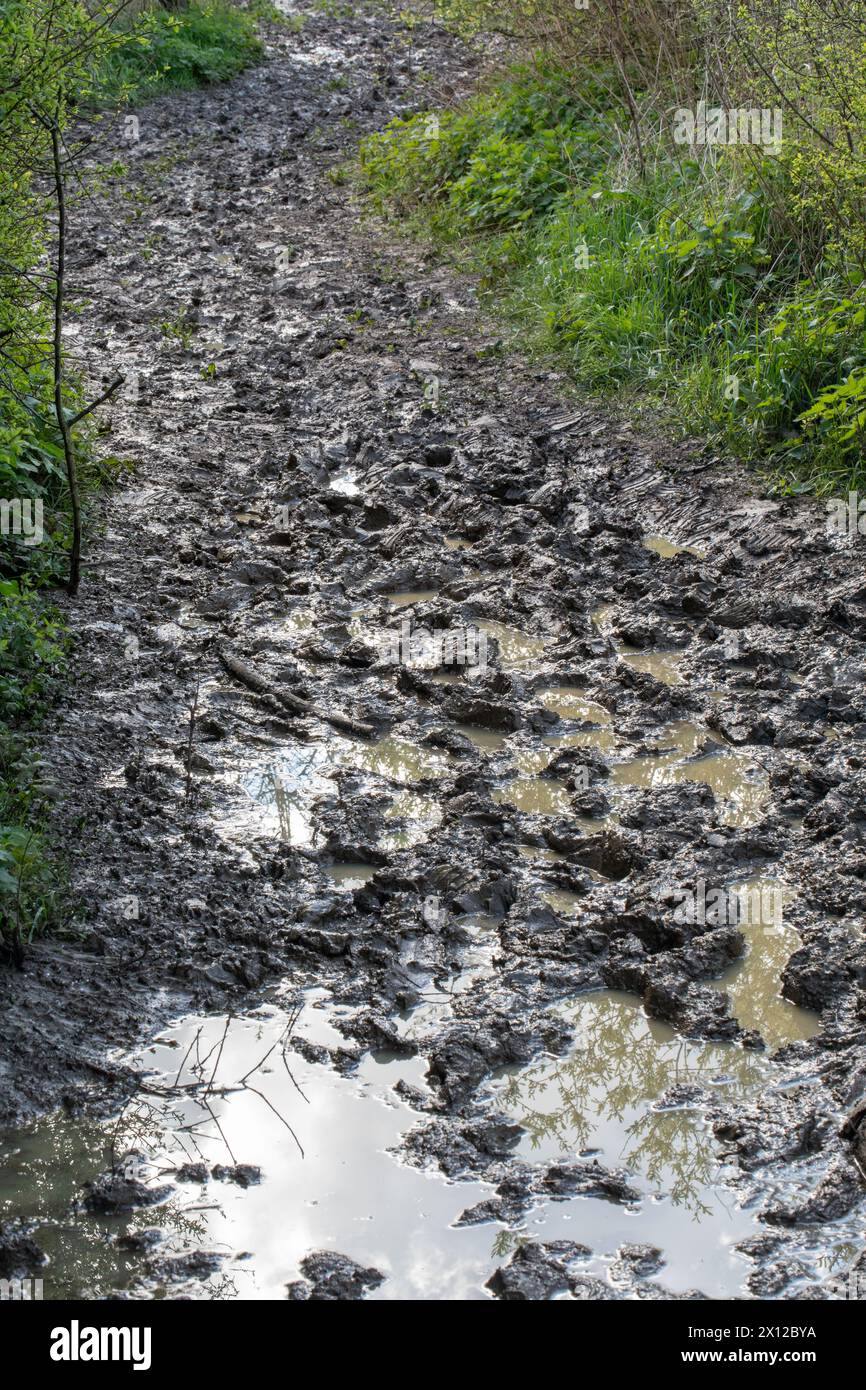 Sodden path hi-res stock photography and images - Alamy