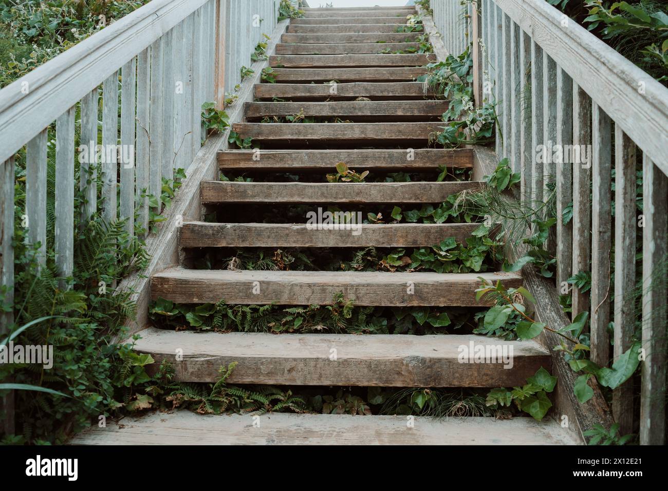 Walkway with wooden stairs hi-res stock photography and images - Alamy