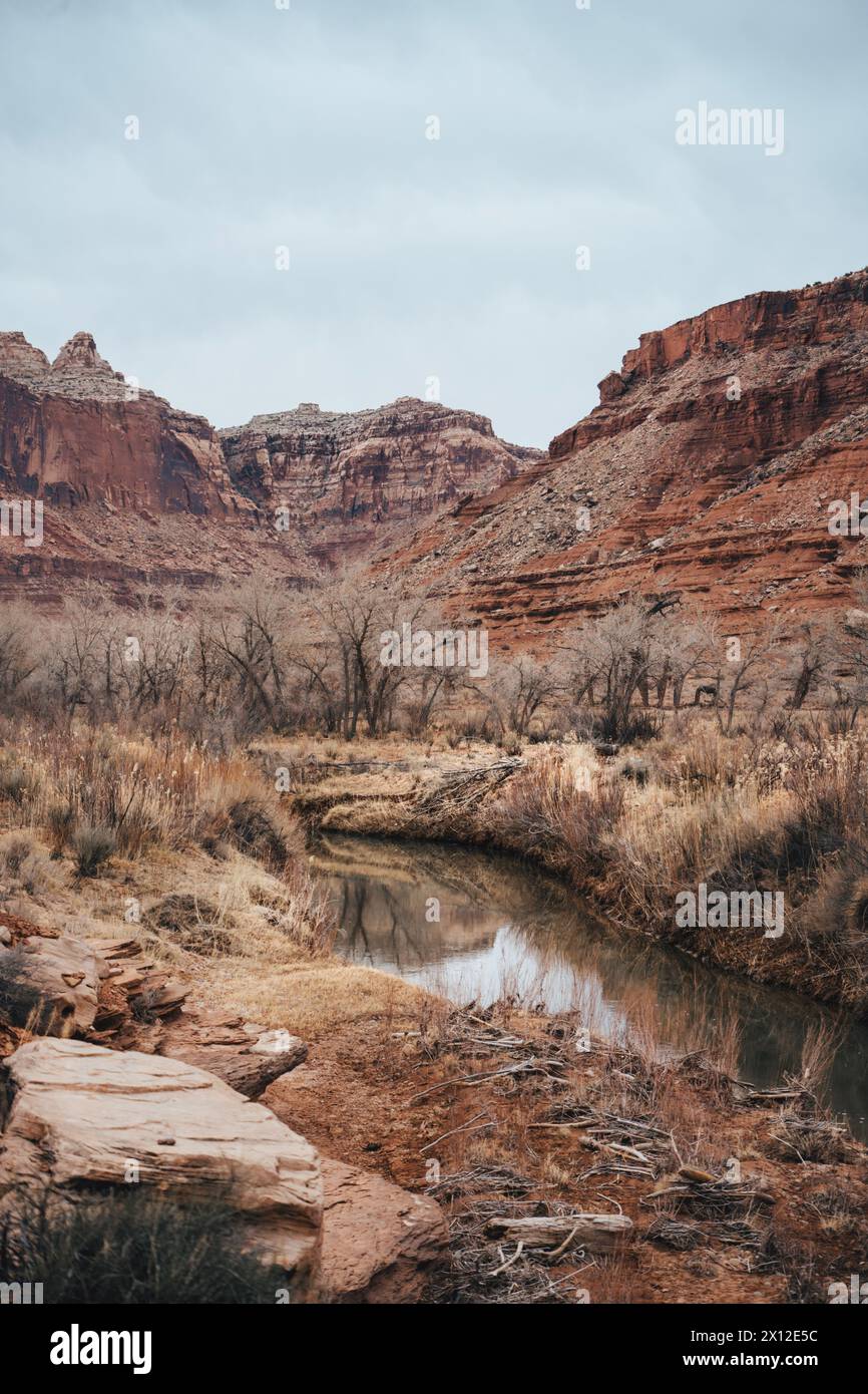 River twisting through an epic desert landscape Stock Photo - Alamy