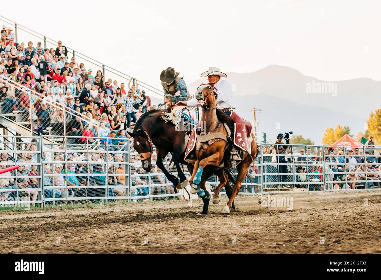 Two cowboys and horses at county fair rodeo Stock Photo - Alamy