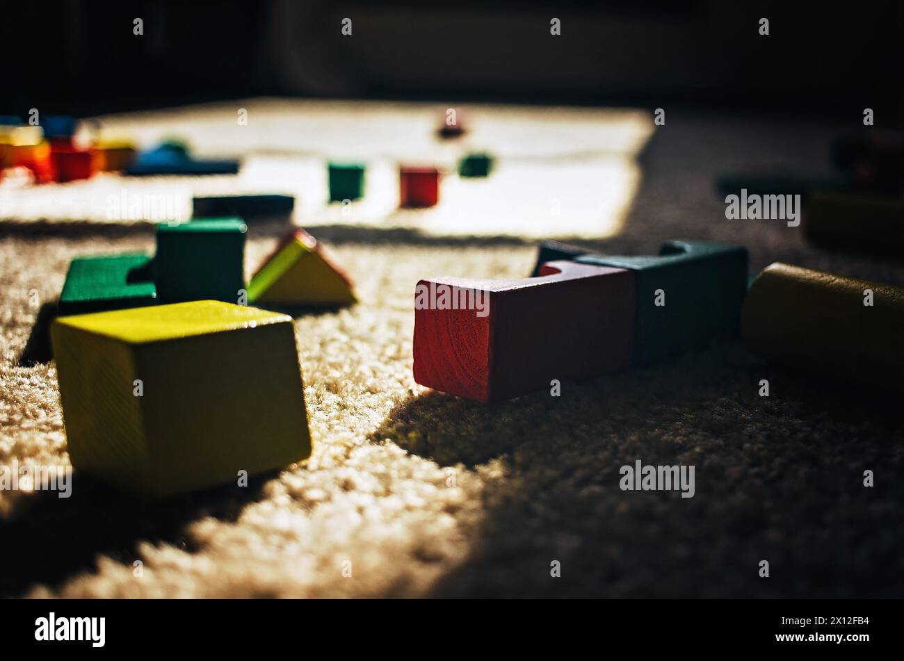 Blocks scattered on flower in window light Stock Photo - Alamy