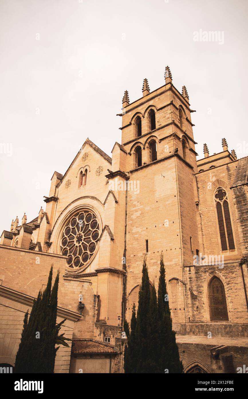 Facade of a Medieval Gothic Palace in Montpellier Stock Photo - Alamy