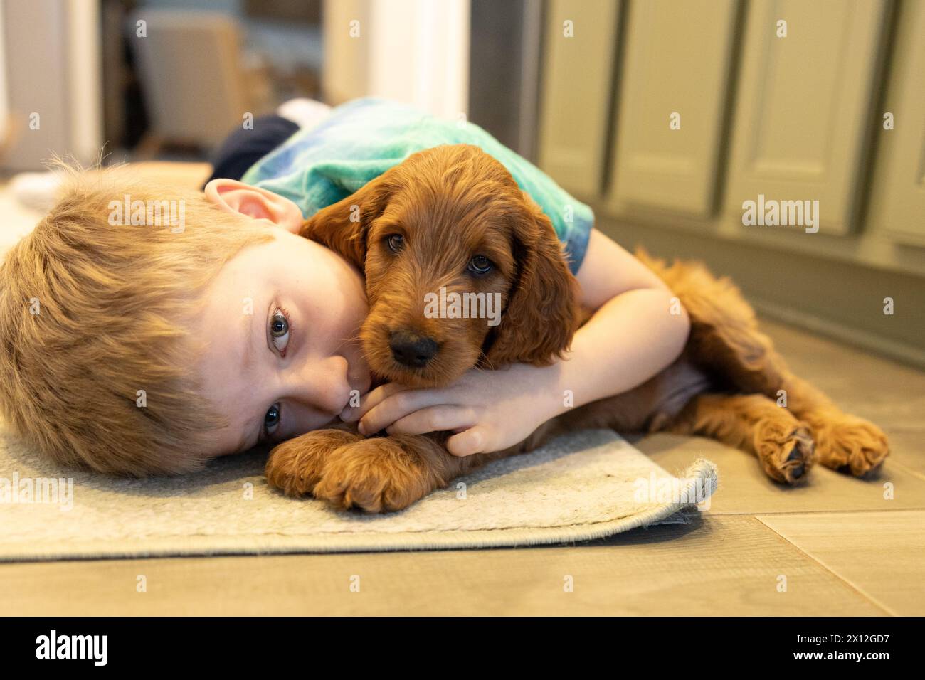 Heartwarming animal hi-res stock photography and images - Alamy