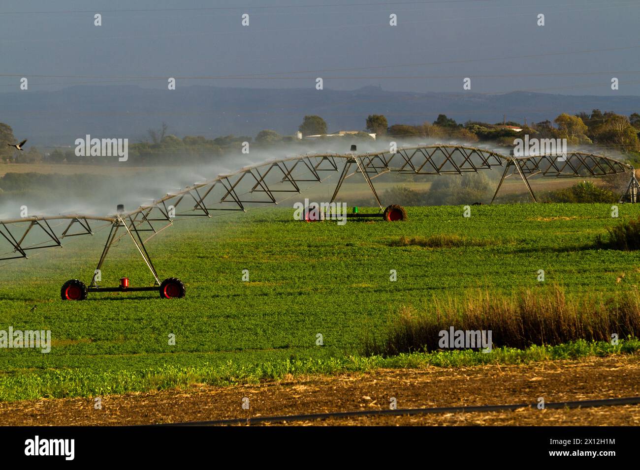 Modern systems for irrigation of large crops of vegetables farming ...