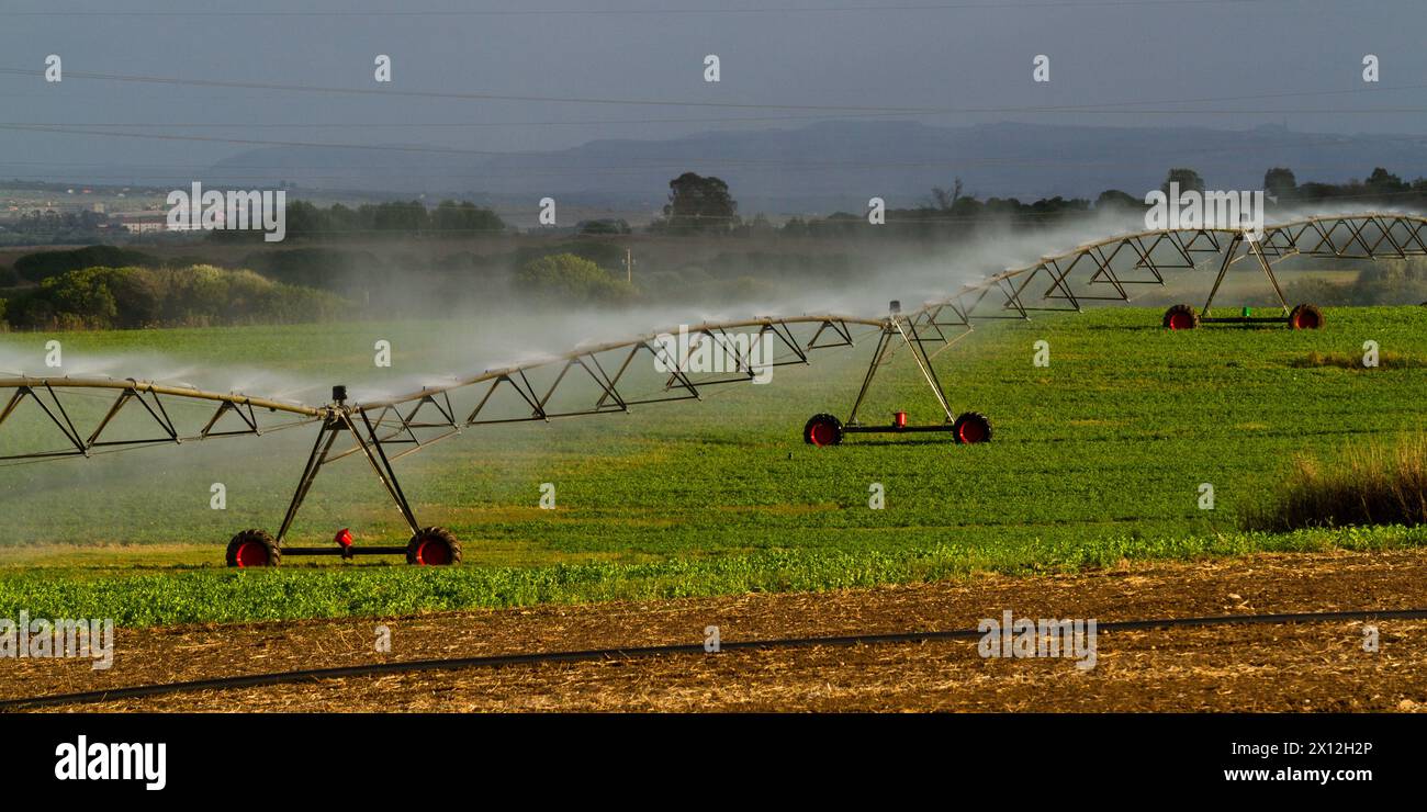 Modern systems for irrigation of large crops of vegetables farming ...