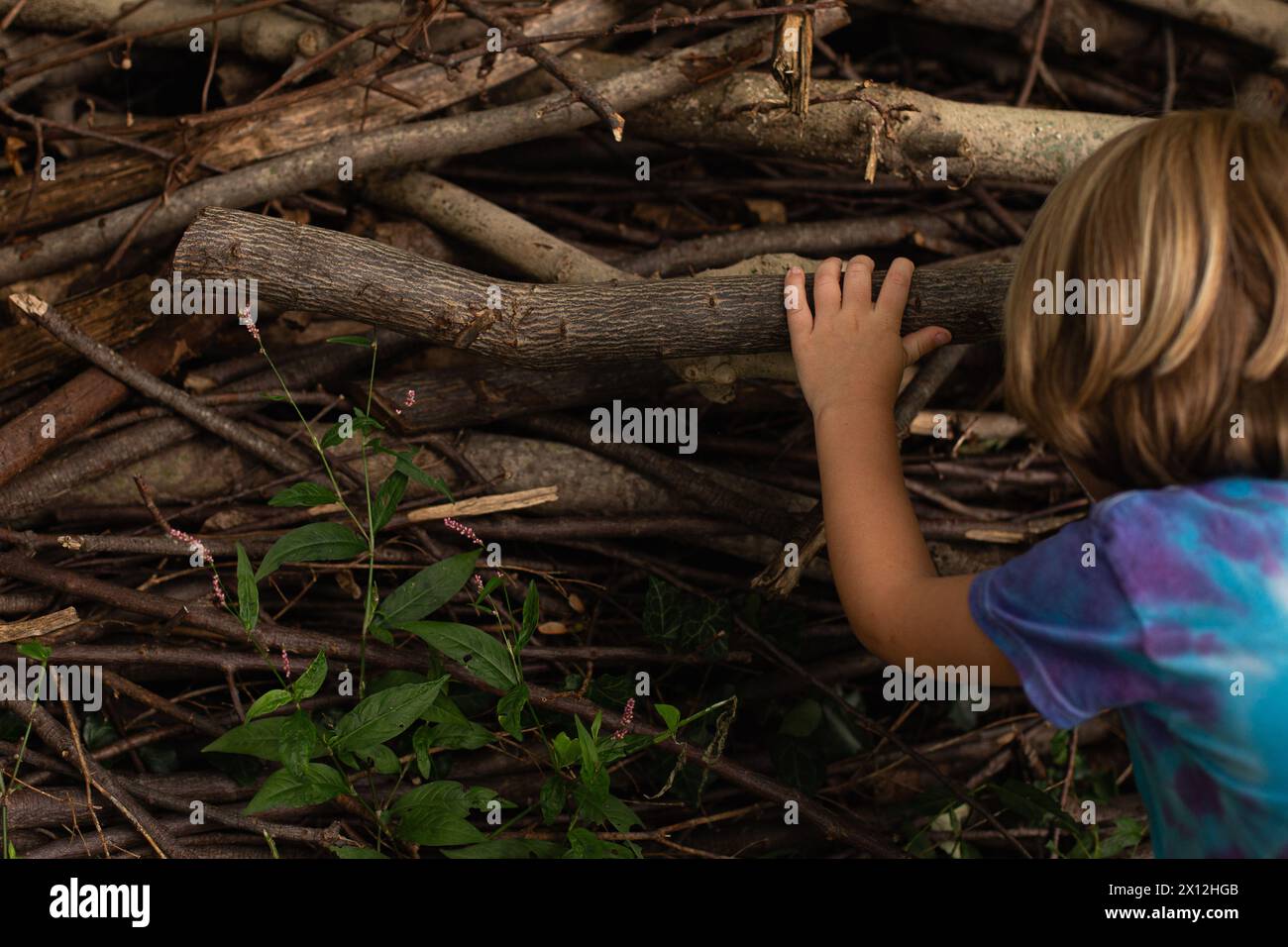 Boy playing with sticks outdoors Stock Photo - Alamy
