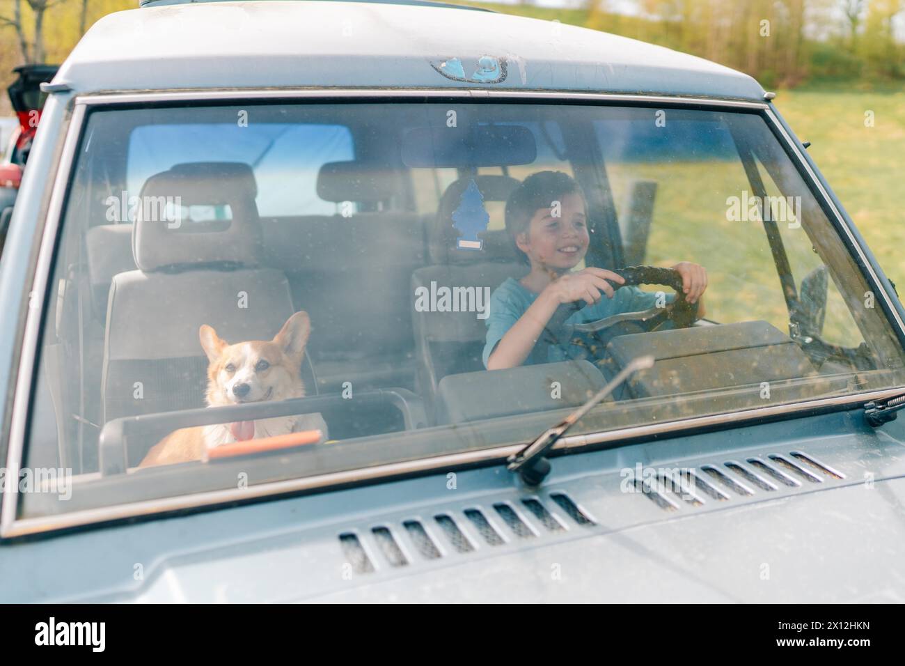 teenage boy and his corgi dog driving old car, learning to drive Stock ...
