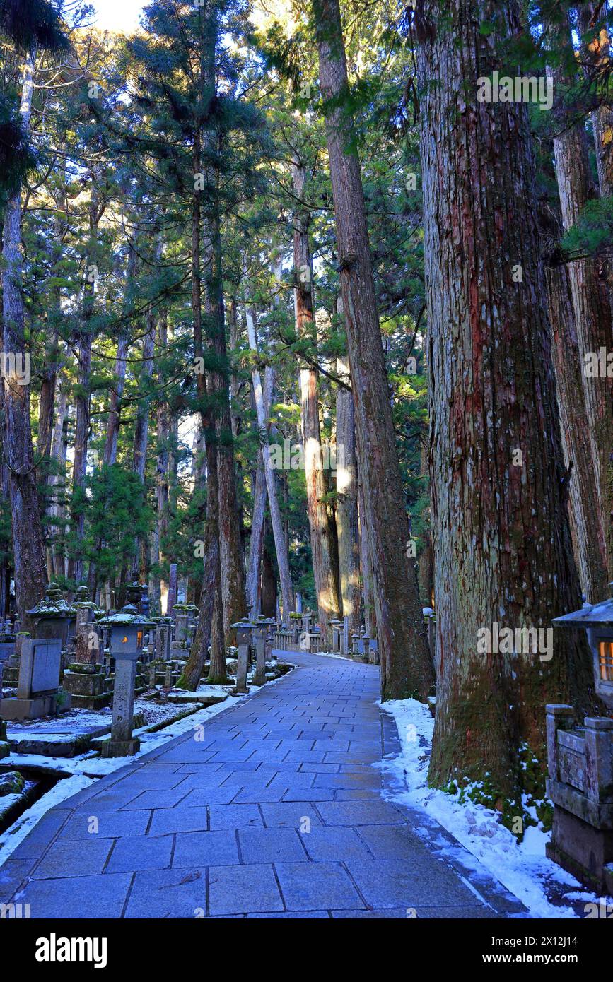 Kongobu-ji Okuno-in Okunoin Cemetery at Koyasan, Koya, Ito District ...