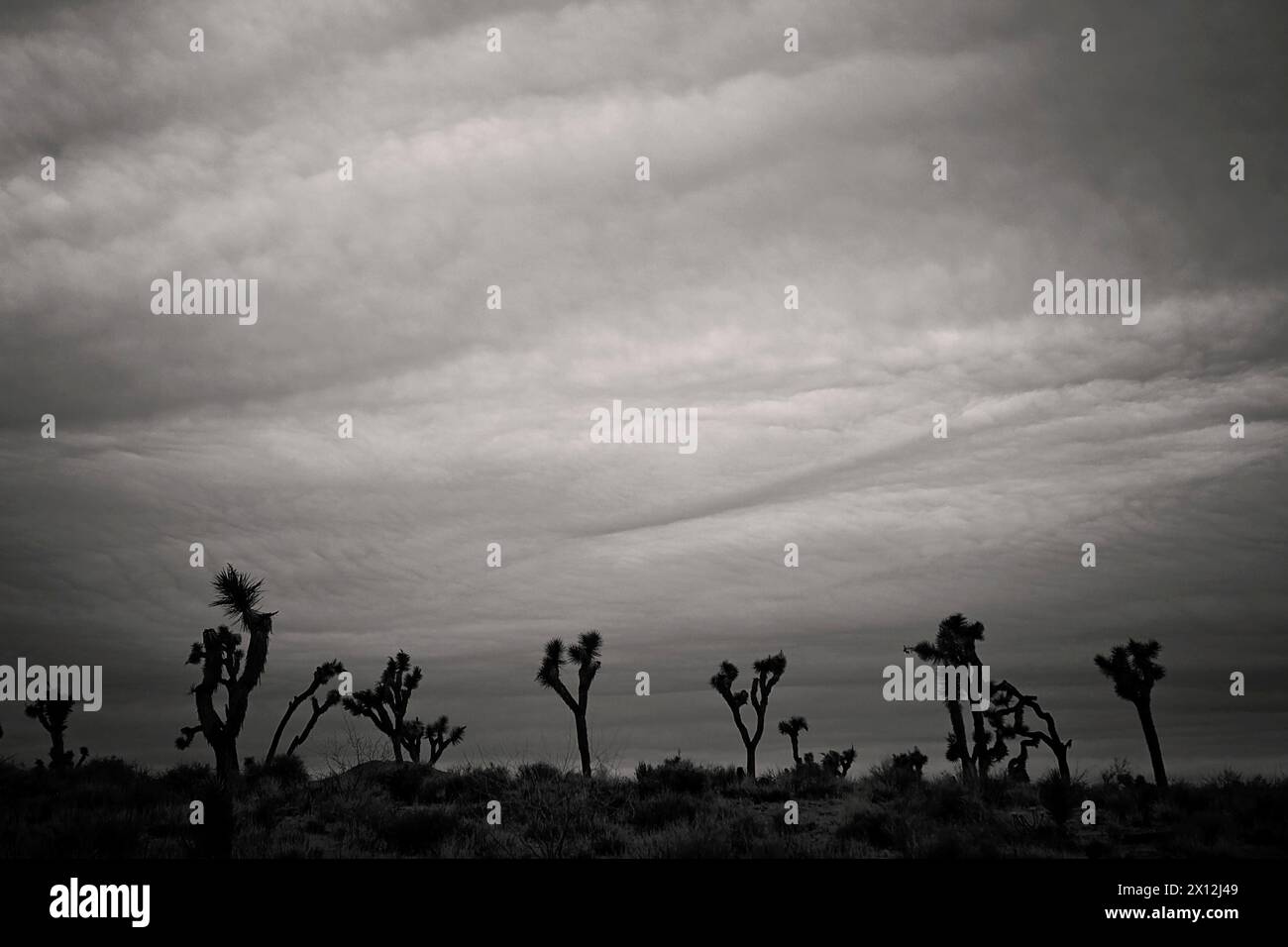 Moody landscape dark landscape hi-res stock photography and images - Alamy