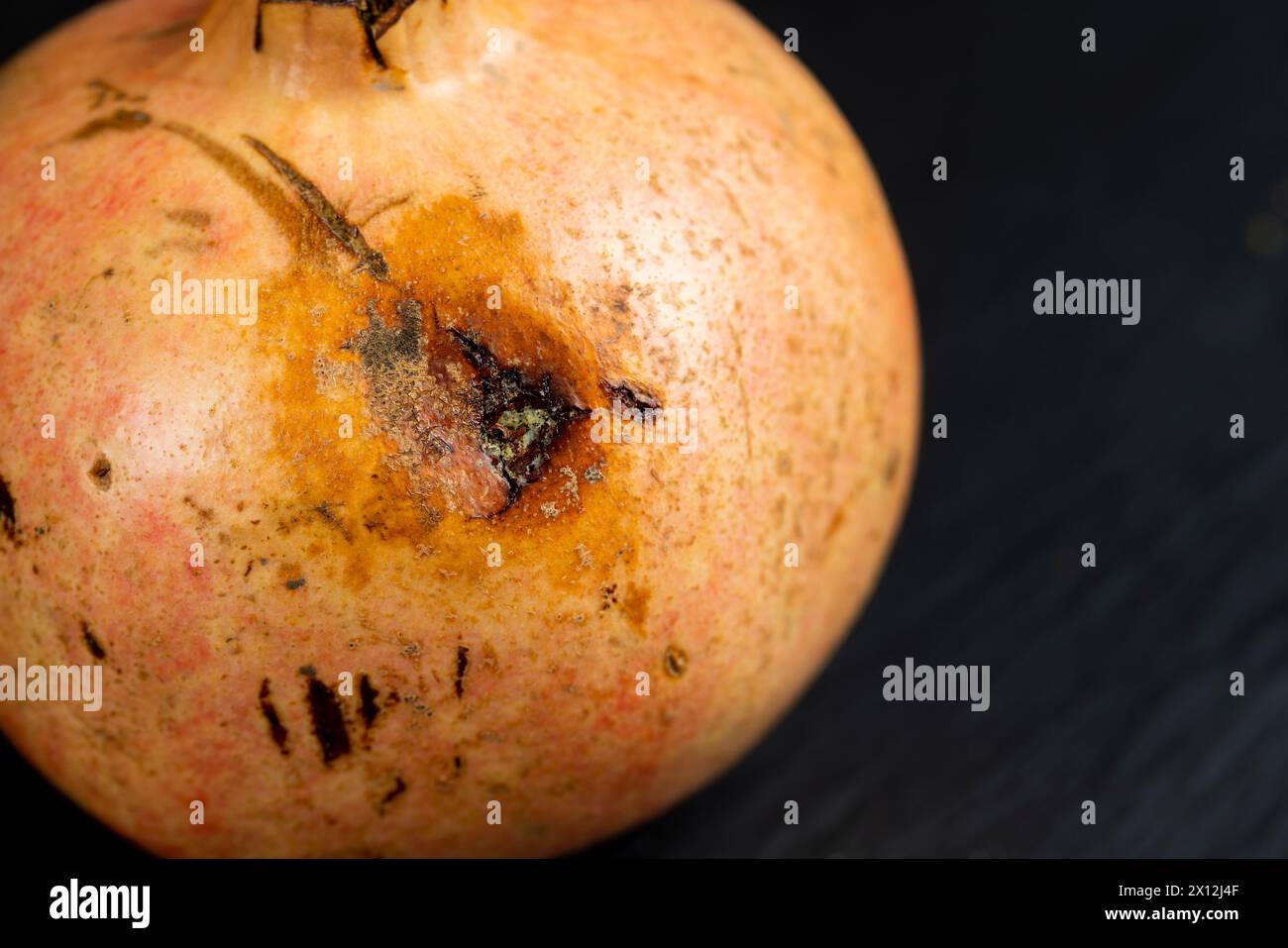 rotten unpleasant pomegranate fruit, a close-up of a pomegranate with ...