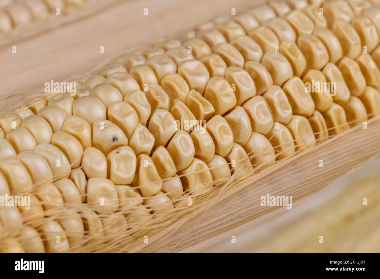 Old moldy corn cobs close-up, old spoiled sweet ripe corn food Stock ...