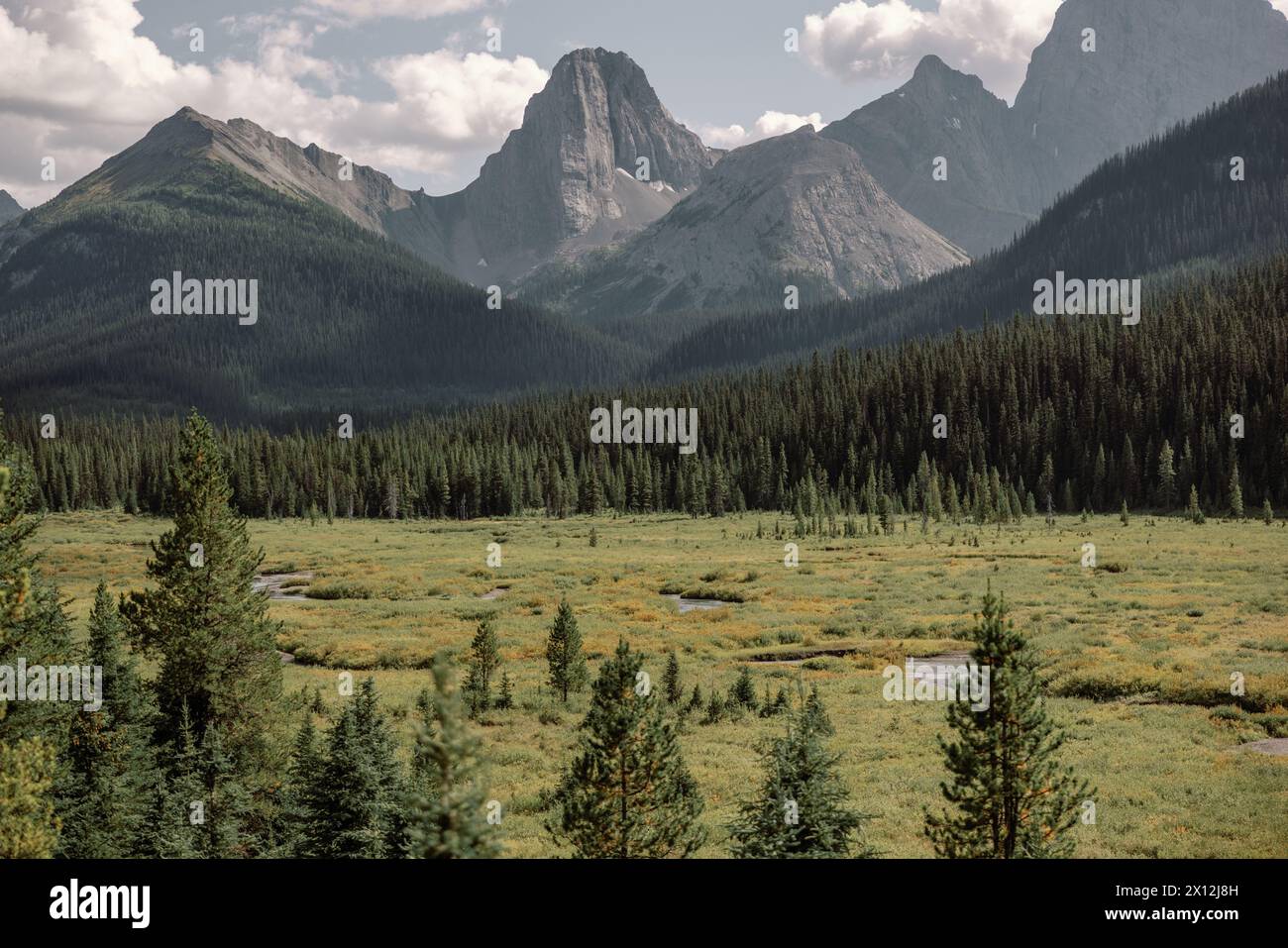 Kananaskis alberta mountain view hi-res stock photography and images ...