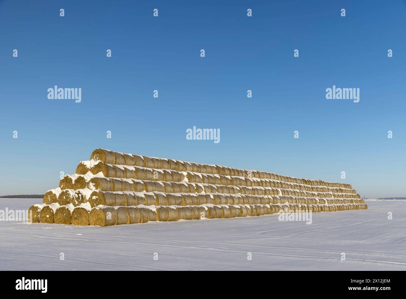 snow-covered straw stacks , winter landscape with straw in stacks after ...