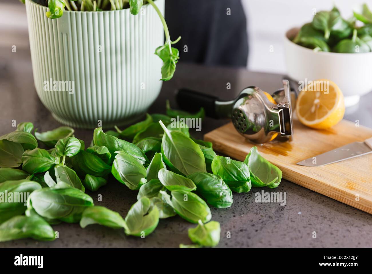 Massage therapist preparing hi-res stock photography and images - Alamy